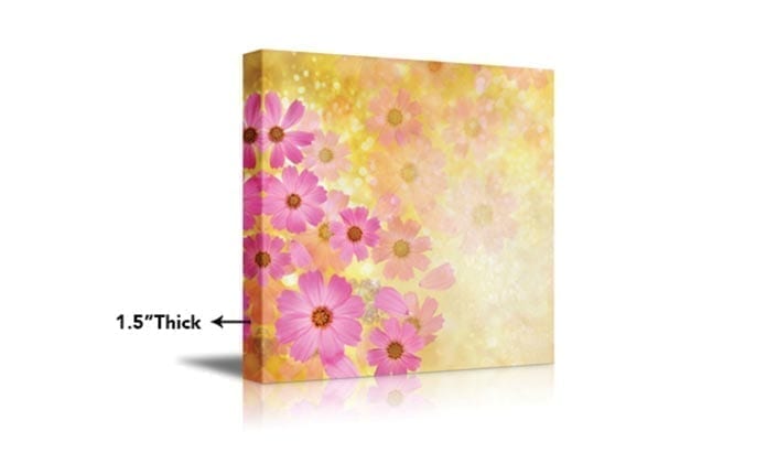 Primary Stretched Canvas – Articture